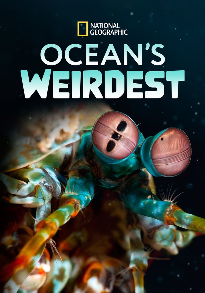Ocean's Weirdest (TV Series 2022-) - Rapstar Internet Cafe